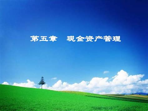 商业银行业务管理第五章 现金资产管理word文档在线阅读与下载免费文档