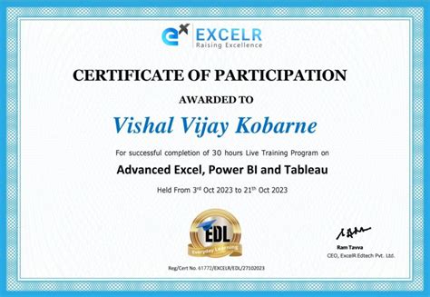 completed a 30 hour training on excel power bi and tableau vishal