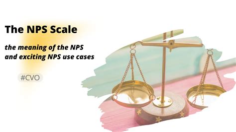 Net Promoter Score Scale The Good The Bad And The Customer