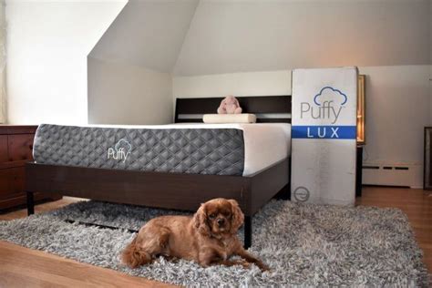 Puffy And Puffy Lux Mattress Unbiased Review 2024