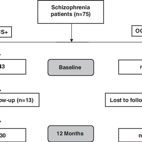 Consort Diagram Of Sample Flow OCS Obsessivecompulsive Symptom Download Scientific Diagram