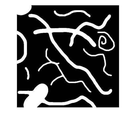 Bwskel Reduce All Objects To Lines In 2 D Binary Image Or 3 D Binary