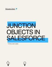 Understanding Salesforce Junction Objects Types And Uses Course Hero