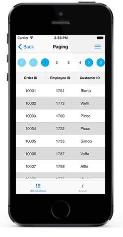 Paging In Xamarin IOS SfDataGrid Control Syncfusion Paging In Xamarin IOS SfDataGrid Control Syncfusion