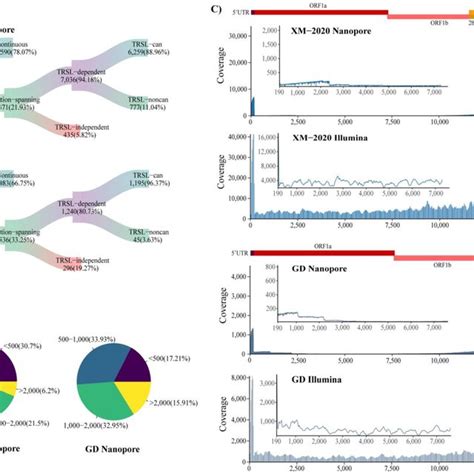 Sequencing Data Generated From Two Independent Prrsv Isolates A Download Scientific Diagram