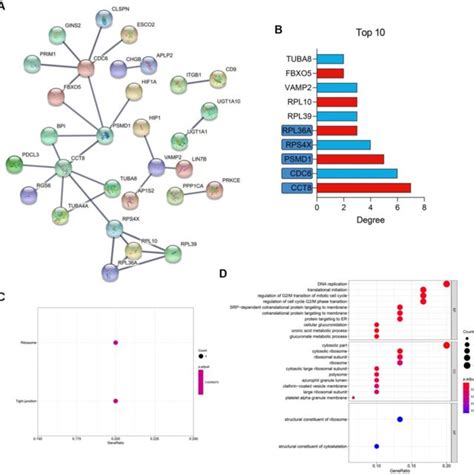 ppi network construction and functional enrichment a construction of download scientific