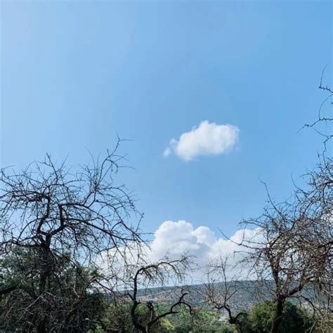 Mohamed Charki Charki7412 • Threads Say More