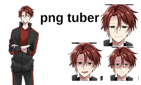 Design Png Tuber Vtuber 2d Rigging Anime Pngtuber Modelling In Details