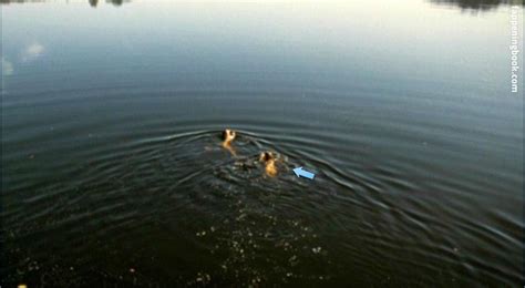 Jennifer Ulrich Jenniferulrich Nude OnlyFans Leaks Fappening FappeningBook