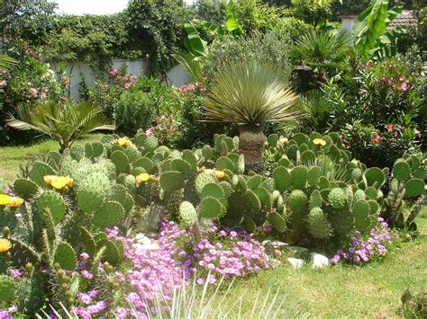 Зелената Линейка Не забравяйте да пиете фолиева киселина съветва специалистът по