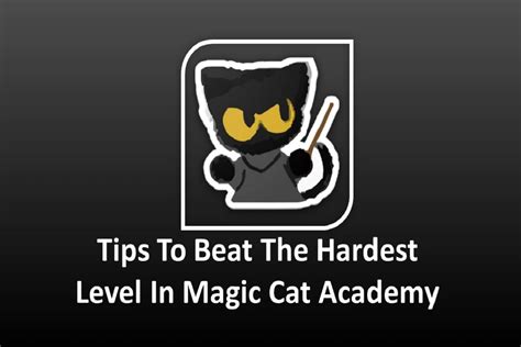 The Story Behind Magic Cat Academy