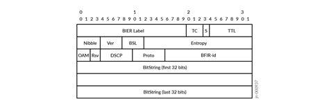 Bier Forwarding Junos Os Juniper Networks