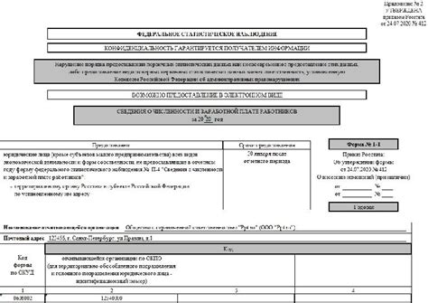 Образец заполнения формы отчета Т 1 в статистику в 2020 году