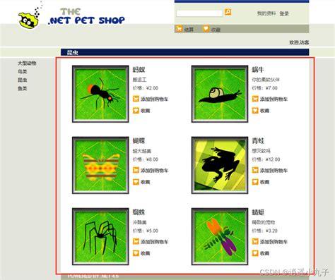 【aspnet Web】项目实践—网上宠物店11：制作 搜索”页面aspnet开发web项目 Csdn专栏
