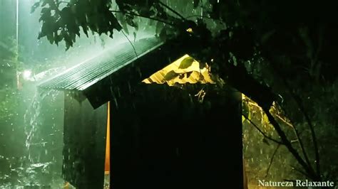 2분 안에안개가 자욱한 숲에 폭우가 쏟아지는 순간 불면증과 작별을 고할 것입니다 Asmr Youtube