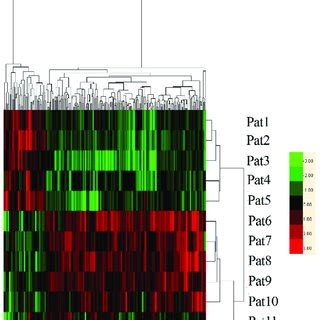 Heat Map Generated By Hierarchical Clustering Of Differentially