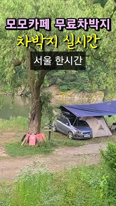 무료 차박성지 실시간소식 캠핑카 캠핑카여행 캠핑 차박 차박지추천 차박지실시간 Youtube