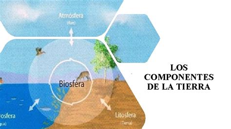Los Componentes De La Tierra Conceptos Para Recordar
