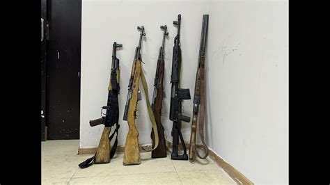 „წითელი ნუსხით“ დაცულ მურა დათვზე ნადირობის ფაქტი გამოვლინდა Youtube