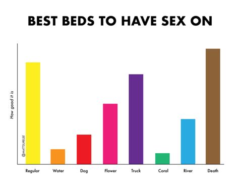 Best Beds To Have Sex On R Funnycharts