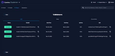 Adding A Validator Node With Wallet Camino Docs