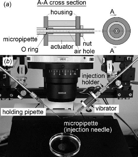 Figure 2 From Development And Evaluation Of The Second Version Of