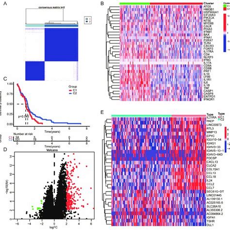 Identification Of Icd Genotyping By Consensus Clustering In Hggs A Download Scientific