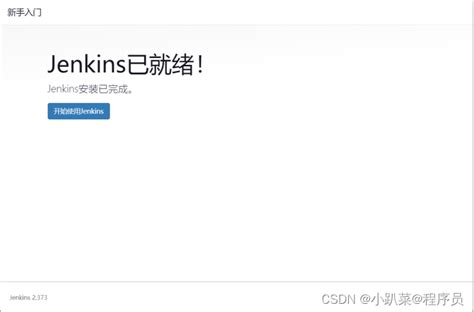 Jenkins的安装 Csdn博客