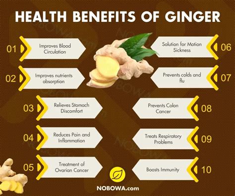 Ten Health Benefits Of Ginger By Olumorocktv Medium