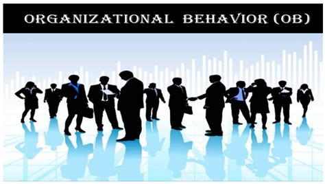 Unit 3 Organizational Behavior Assignment Capco Ltd