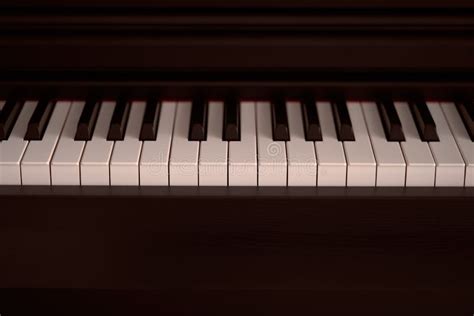 Keyboard Fragment Piano For Playing Music Stock Image Image Of Hangs Growing