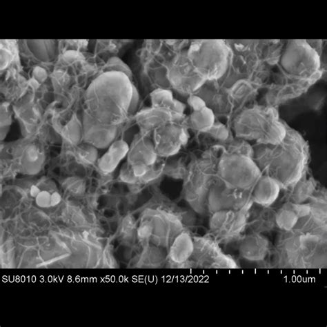 Conductive Multiwalled Carbon Nanotube Slurry Nc601 By Dazhan