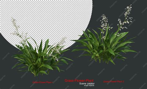A Variety Of Grasses And Plants Premium Psd