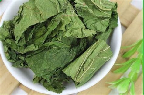 桑叶有多重功效 不过存在副作用吗 苹果绿