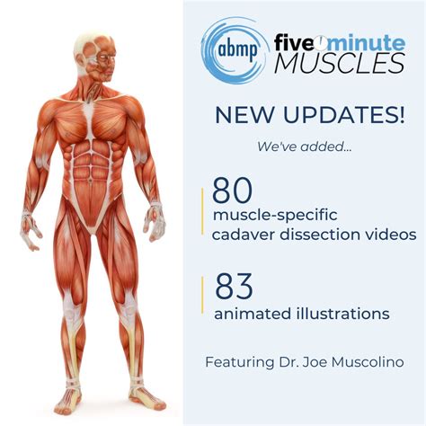 Associated Bodywork And Massage Professionals Abmp On Linkedin