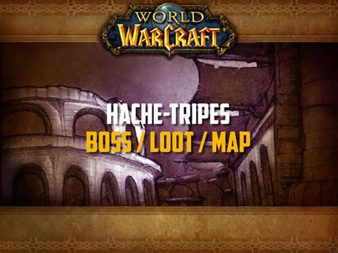 Wow Classic Guides Des Donjons Boss Loot Carte Astuces