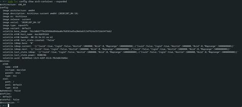 No Ipv4 On Arch Linux Containers Page 2 Lxd Linux Containers Forum