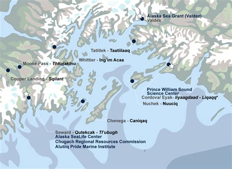 Coral Network Community Organized Restoration And Learning