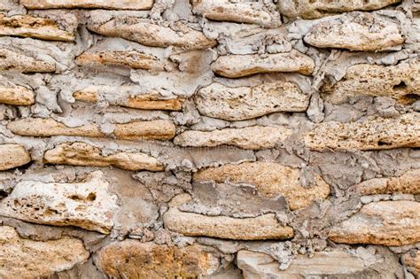 Wall Of Flat Different Shell Stones On Cement Mortar Close Up