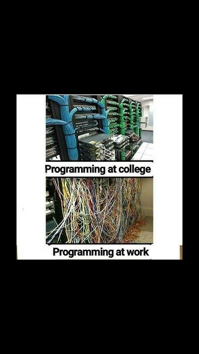 Programming Memes 429 Programming Programmingmemes Memes Coding