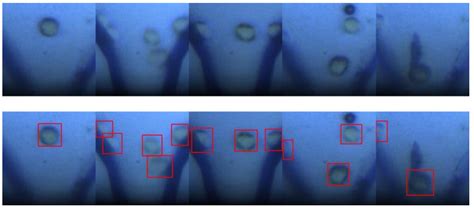 Research On Cell Detection Method For Microfluidic Single Cell Dispensing