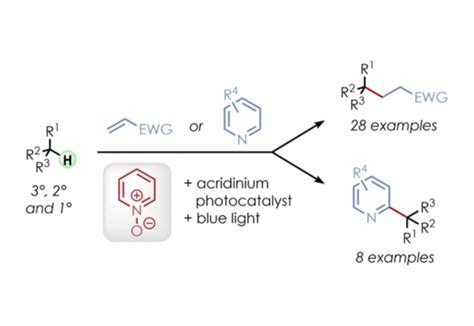 Aliphatic C H Functionalization Using Pyridine N Oxides As H Atom Abstraction Agents