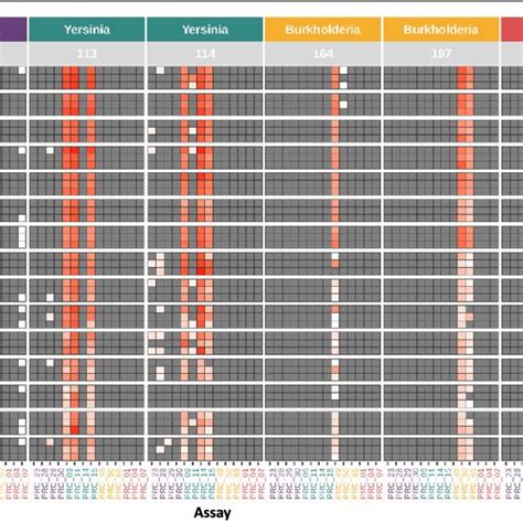Illustration Of Sample To Sequence Workflow And Estimated Times For