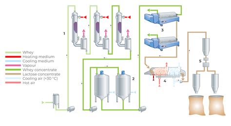 1 General Flow Diagram For Cheese Production And Release Of Whey