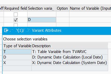 Create SAP Dynamic Variant Using Date Calculation