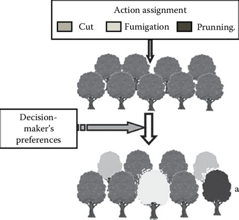 Schema Of The Objectives Of The Optimization Process Download