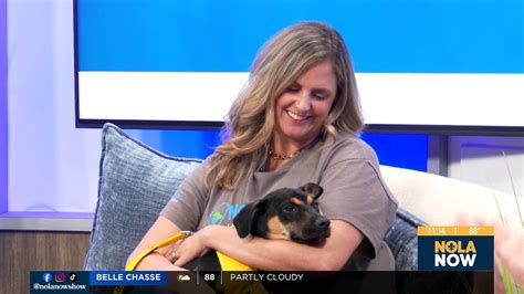 Pet Project Donation And Adoption Youtube