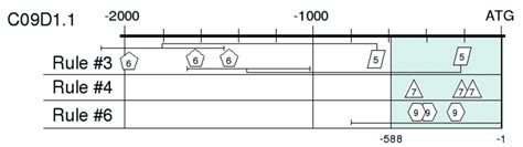 An Example Of A Comparison Between The Predicted Motifs Fitting The