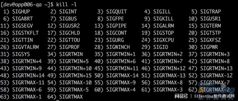常见java应用如何优雅关闭