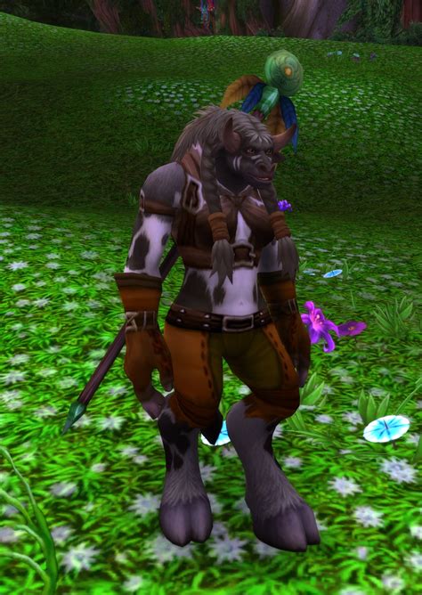 Bashana Runetotem Npc World Of Warcraft